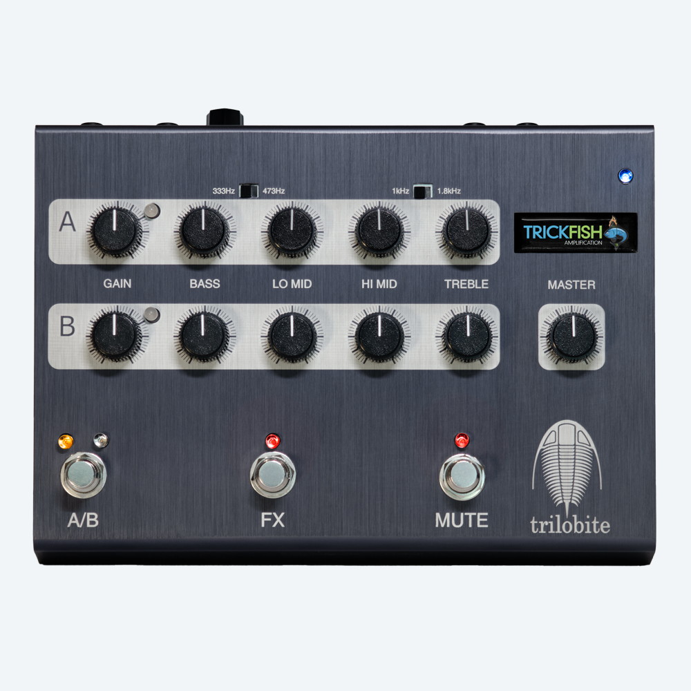 Minnow – Trickfish Amplification