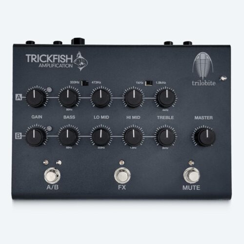 Minnow – TRICKFISH AMPLIFICATION